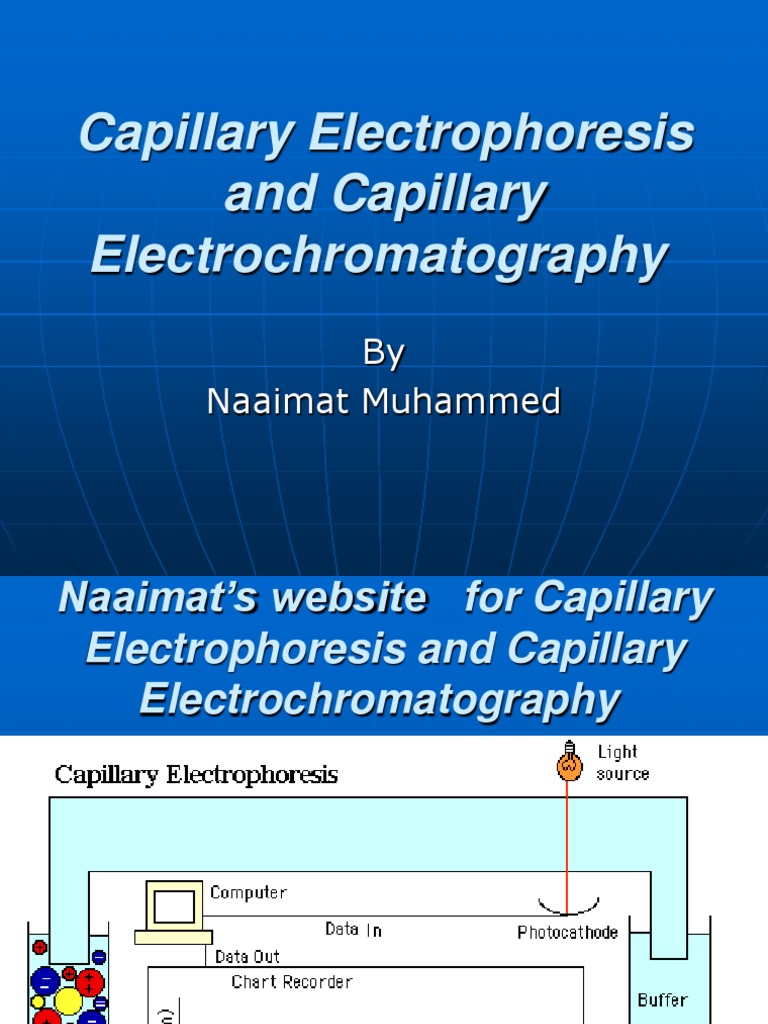 Capillary Electrophoresis and Capillary Electrochromatography ...