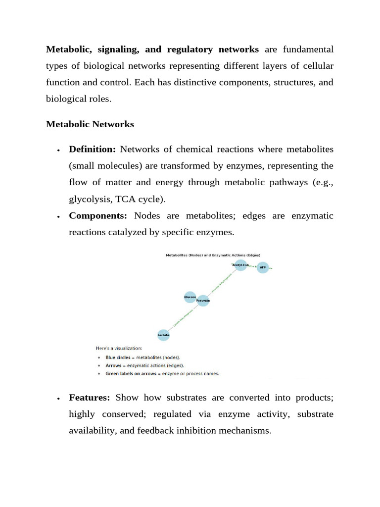 Metabolic Network | PDF | Biochemical Cascade | Cell Signaling
