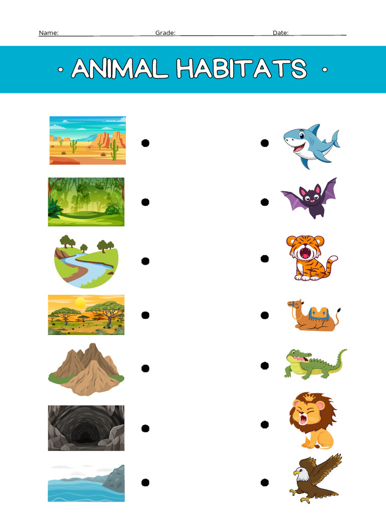 Animal Habitats Matching Worksheets | PDF