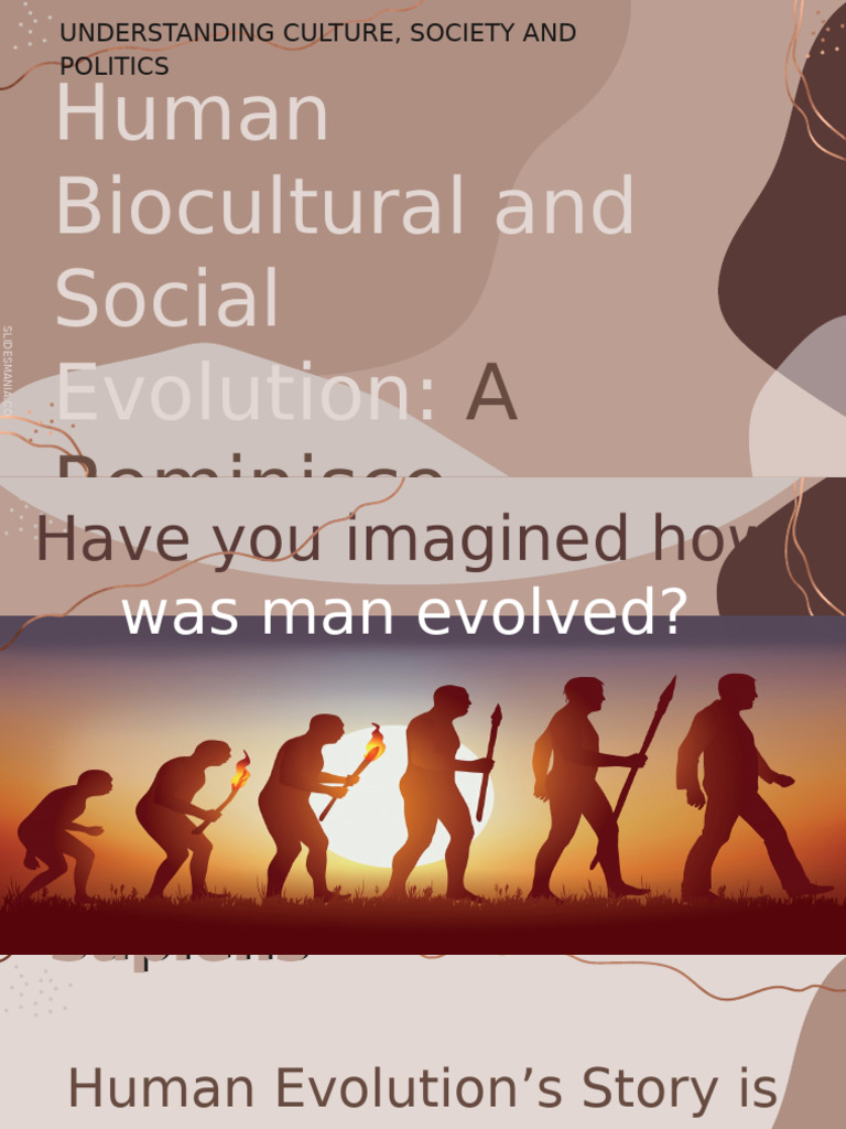 Biocultural Evolution of Humans | PDF | Homo | Stone Age