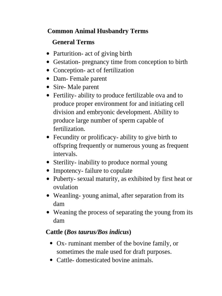Common Animal Husbandry Terms | PDF | Cattle | Sheep