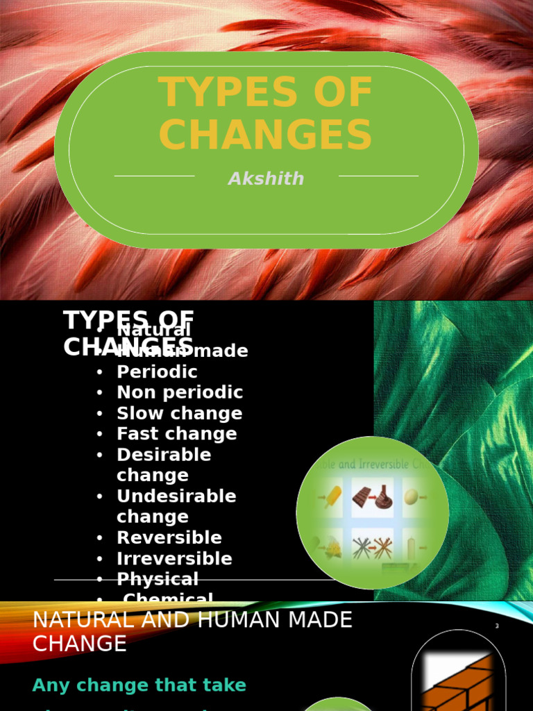 Types of Changes Explained | PDF