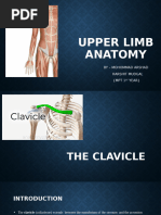 Triangular Space - Borders - Contents - TeachMeAnatomy | PDF