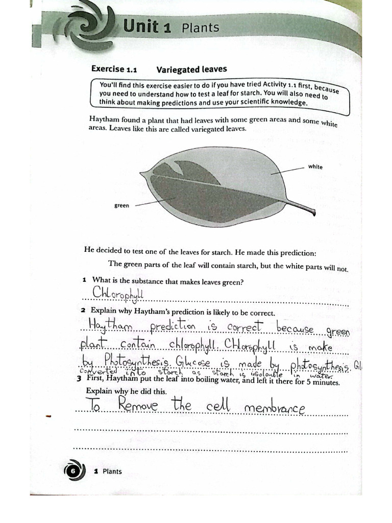 Science (Chapter 1) | PDF