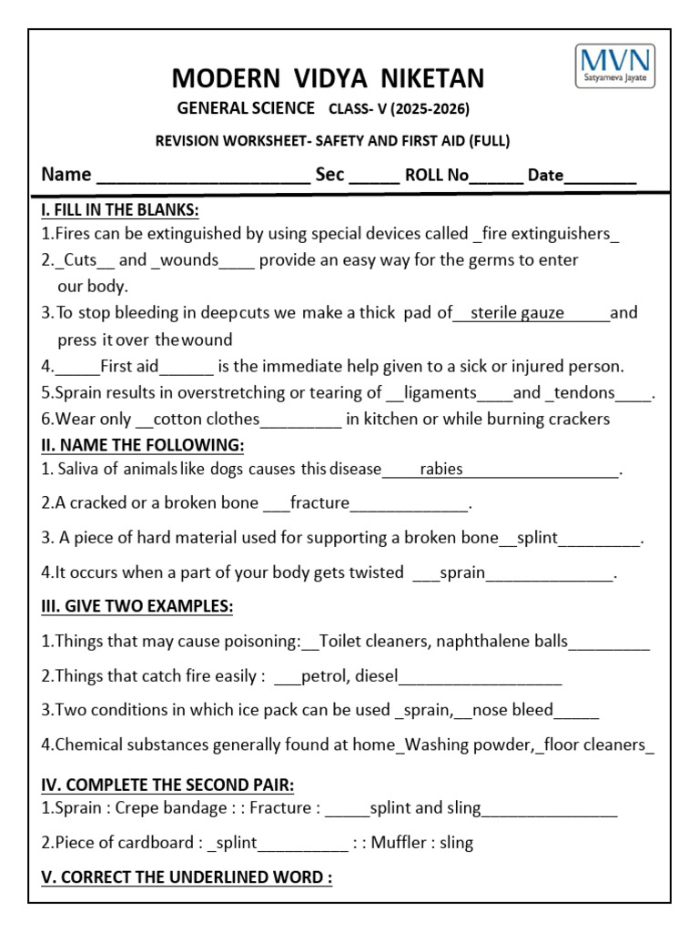 Solved Safety and First Aid Revision Assn2526 | PDF | Rabies