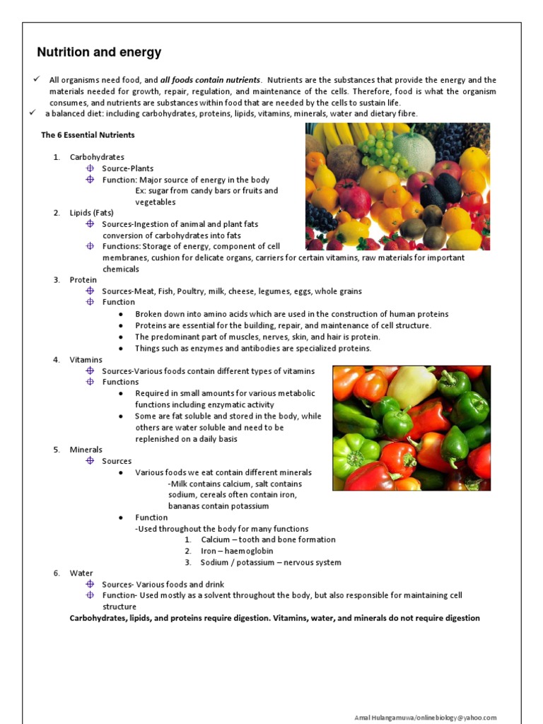 The Six Essential Nutrients: Understanding the Role of Carbohydrates ...