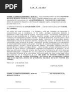 Formato Carta Poder | PDF