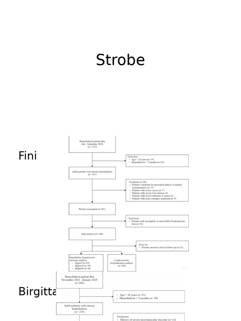 Strobe | PDF