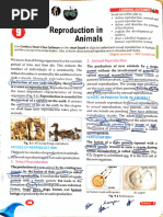Class VIII (Reproduction in Animals) | PDF | Fertilisation | Reproduction