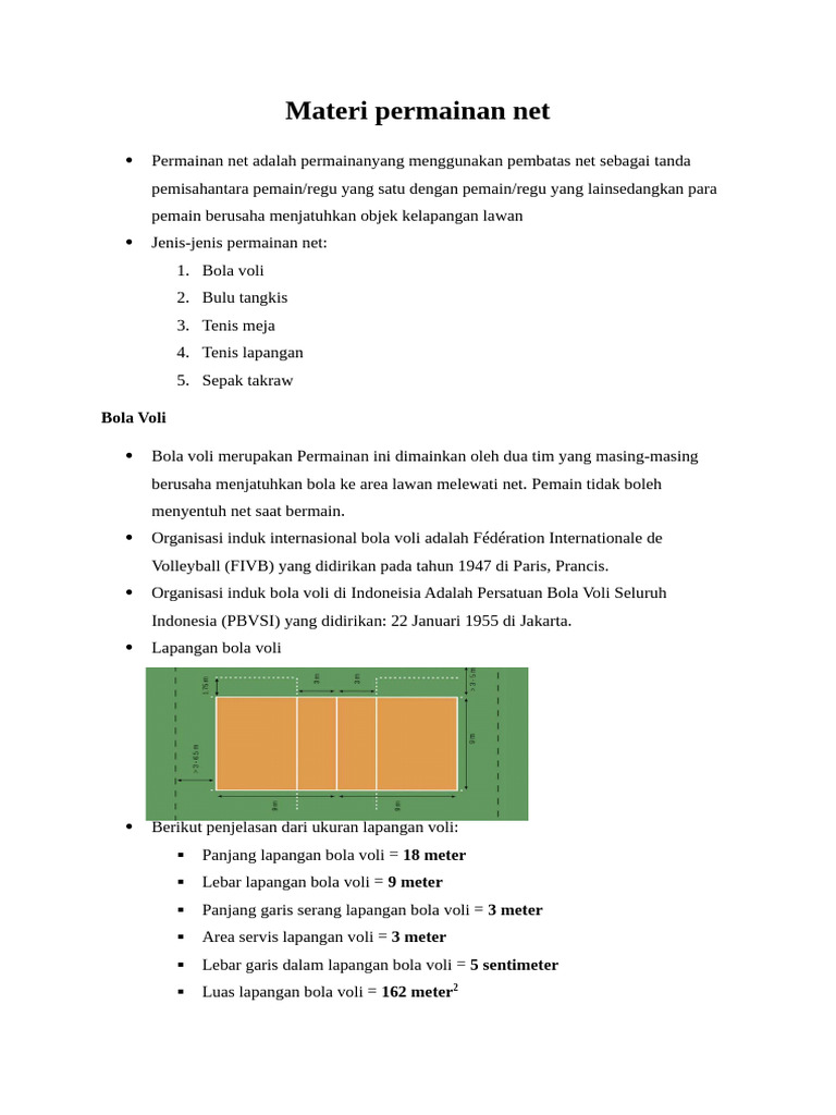 Jenis-Jenis Permainan Net dan Aturannya | PDF