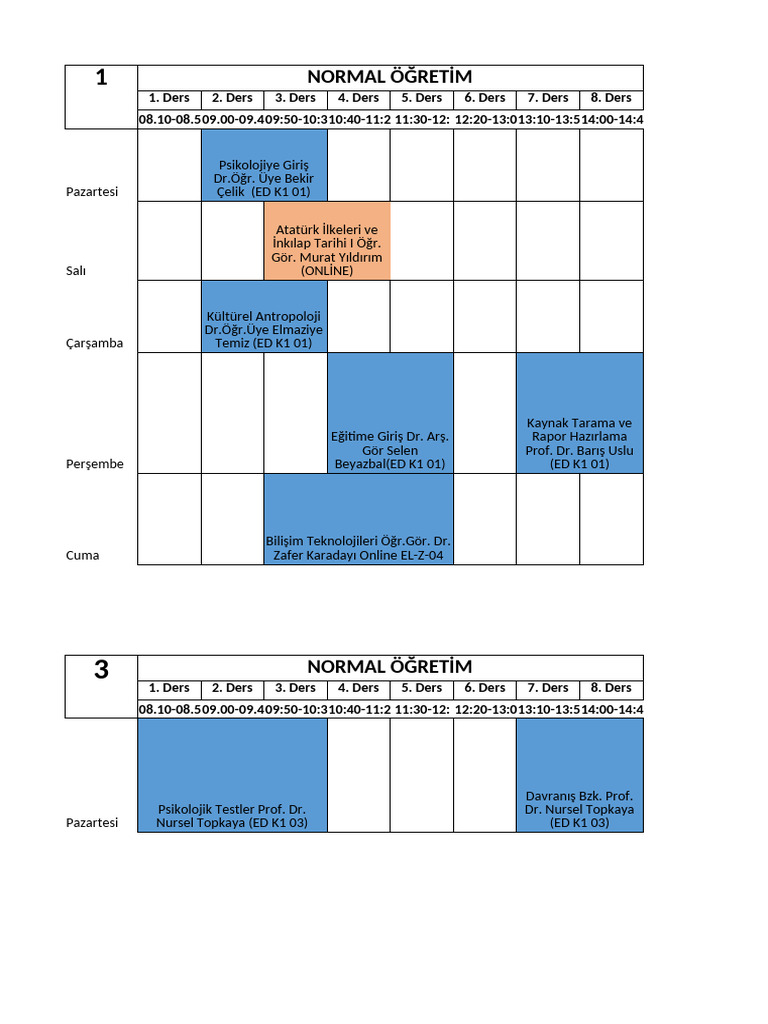 247 2025 2026 Guz RPD Lisans Ders Programi | PDF