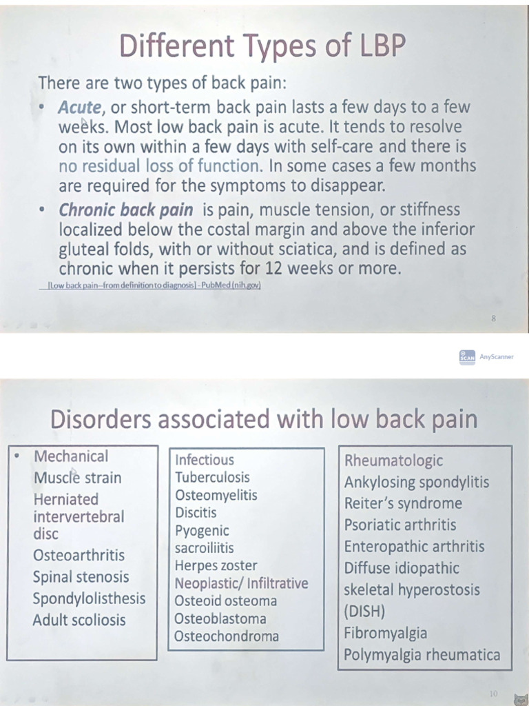 Low Back Pain Slide | PDF