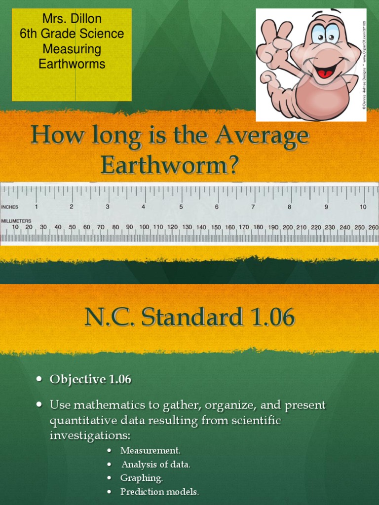 How Long Is The Average Earthworm?: Mrs. Dillon 6th Grade Science ...