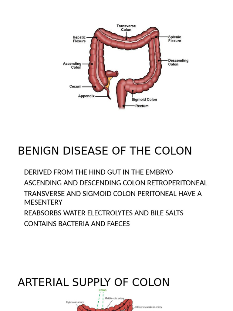 Benign Diseases of The Large Intestine | PDF | Large Intestine ...