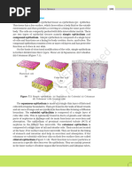 Structural Organization in Animals - Old NCERT Chapter Topics - Arjuna ...