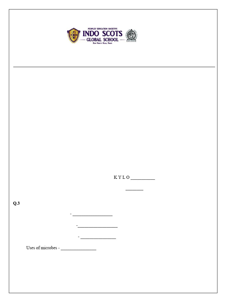 Grade 4 Science Revision Sheet | PDF