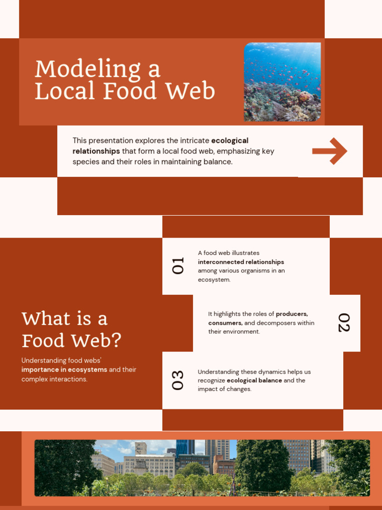 Understanding Local Food Web Dynamics | PDF | Food Web | Ecology