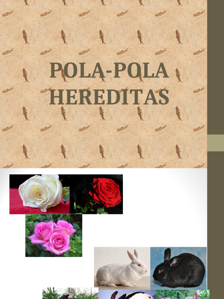 Pola-Pola Hereditas (Mendel) Biologi 12 | PDF