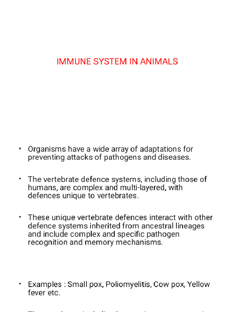 Immune System in Animals - Phoenix | PDF