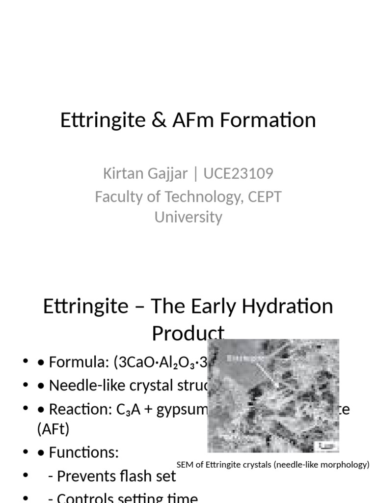 Ettringite AFm With SEM | PDF
