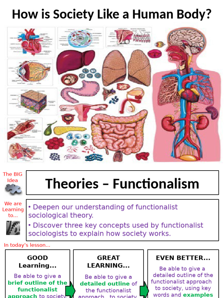Lesson 4 - Functionalism | PDF | Sociology | Society
