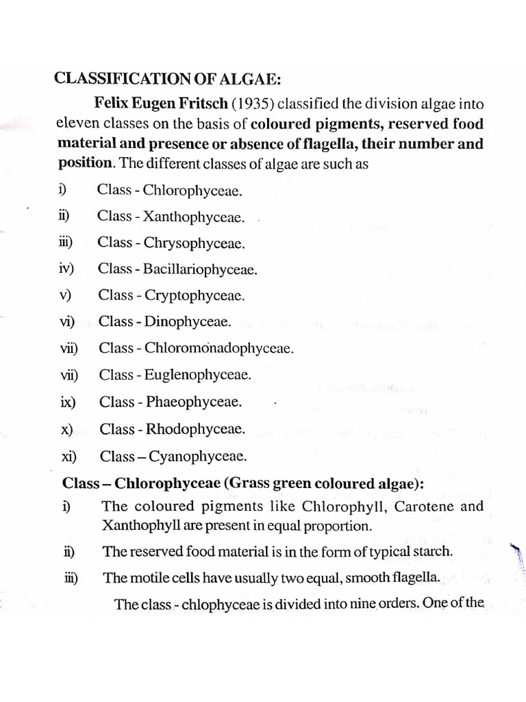 Classification of Algae | PDF