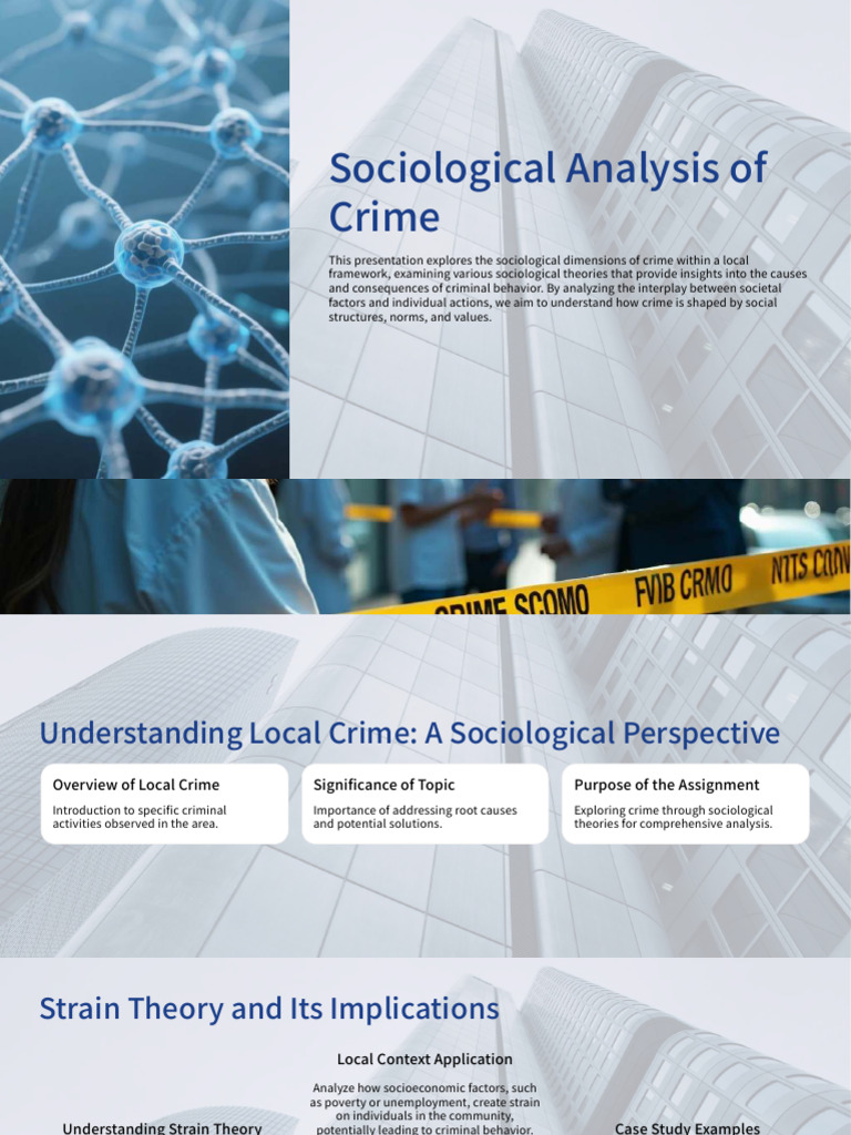 Sociological Insights on Local Crime | PDF | Crimes | Crime & Violence