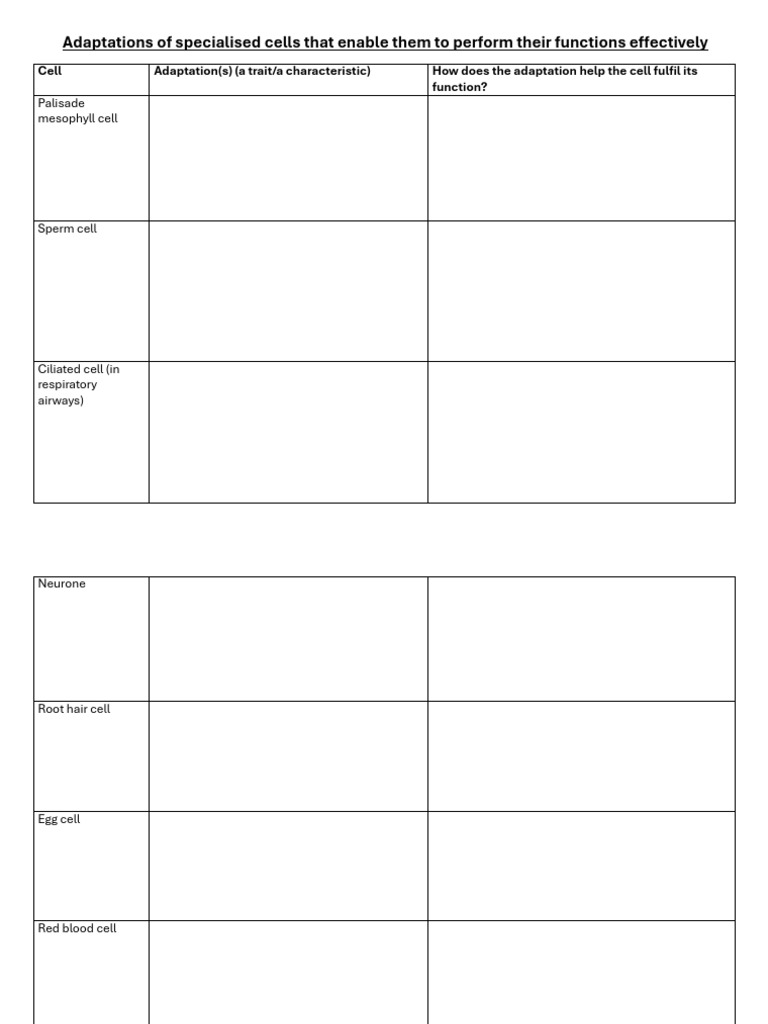 Adaptations of Specialised Cells | PDF