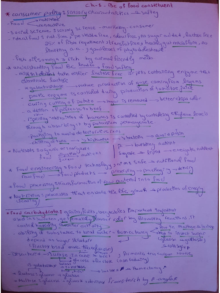 Food Summary | PDF