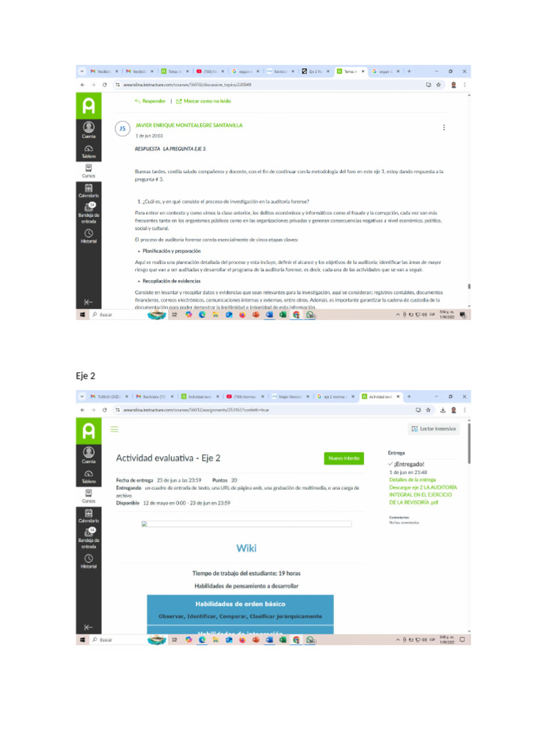 Pantallazos Areandina | PDF