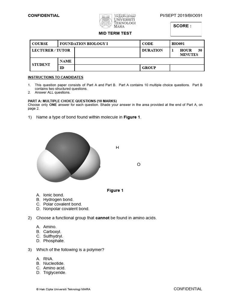 BIO091 Mid Sem - 2019 (SEP) | PDF | Nucleotides | Epithelium