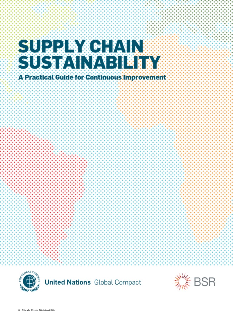 BSR Supply Chain Sustainability | PDF | Supply Chain Management ...