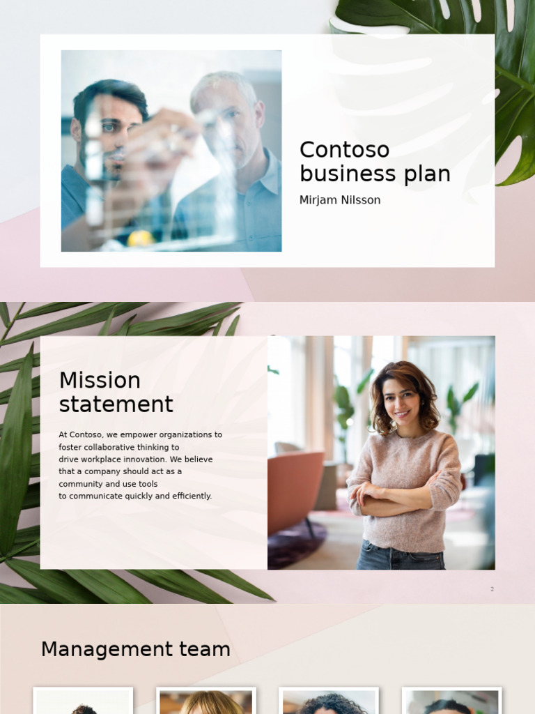 Contoso Business Plan Overview | PDF | Economies | Business
