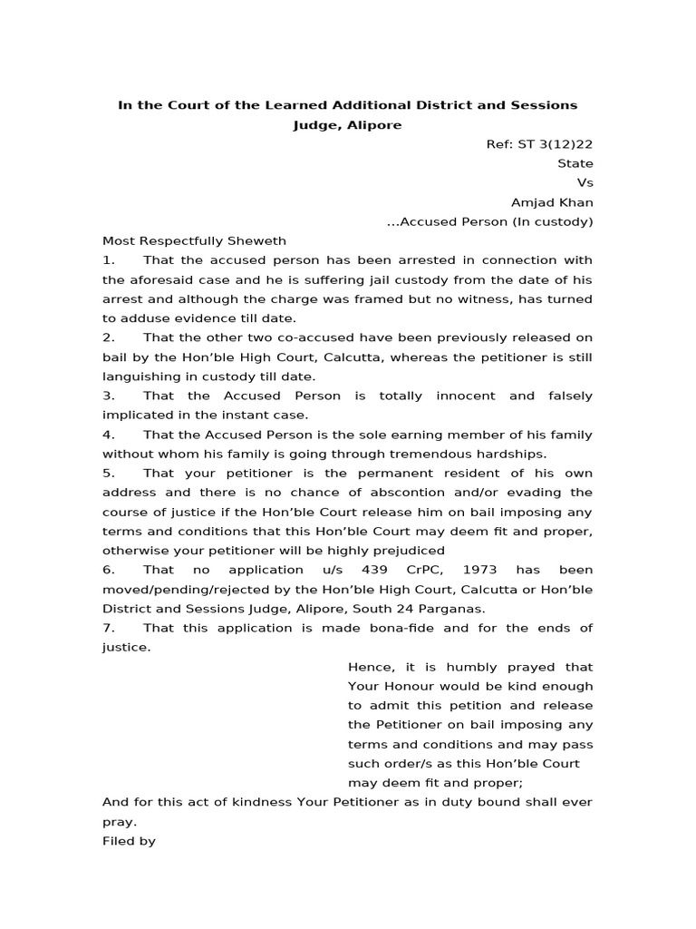 Bail Petition | PDF