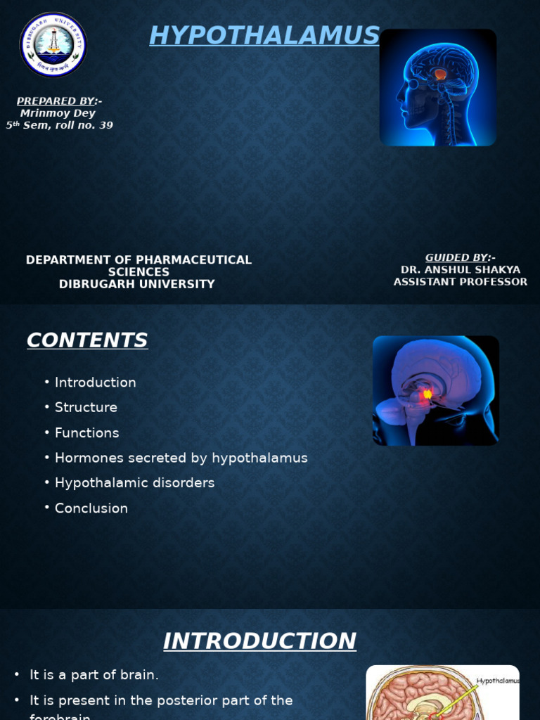 Hypothalamus | PDF | Hypothalamus | Pituitary Gland