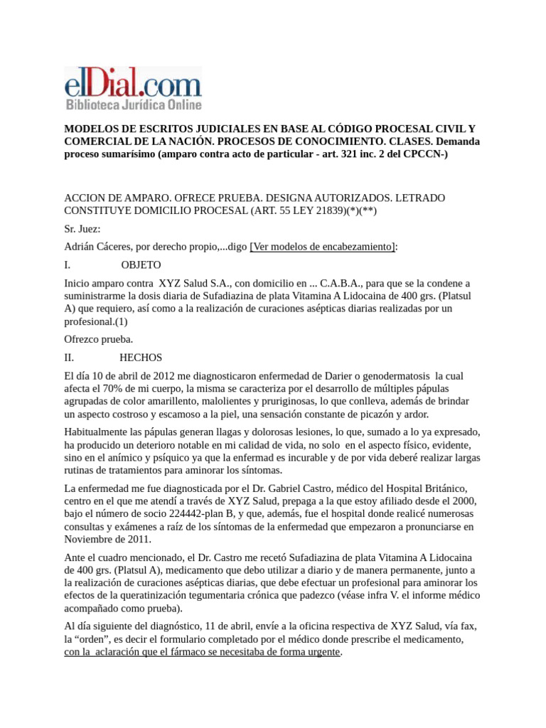 Modelos de Amparo en Salud Civil | PDF | Demanda judicial ...