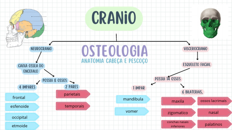 Green and Blue Playful Illustrative Mind Map | PDF