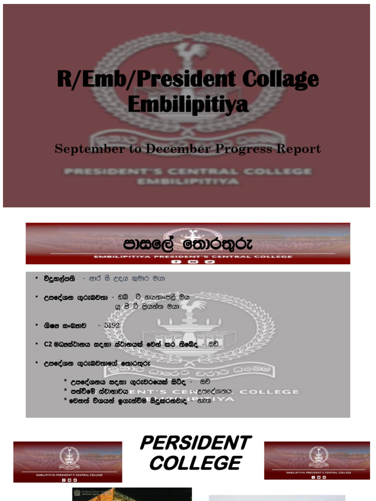 Progress Report | PDF