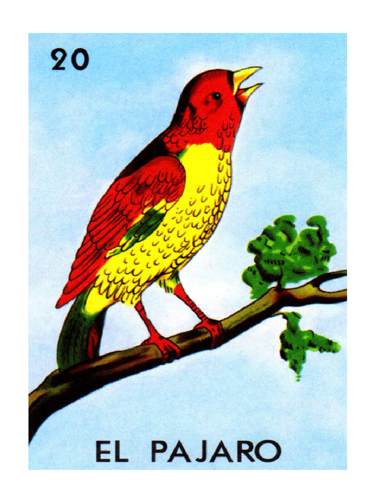 20 El Pajaro | PDF