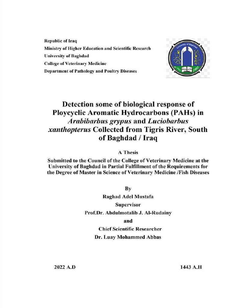 Raghad Adel Mustafa 2 | PDF