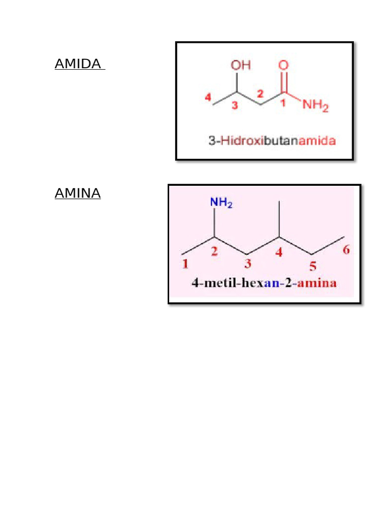 Amida | PDF