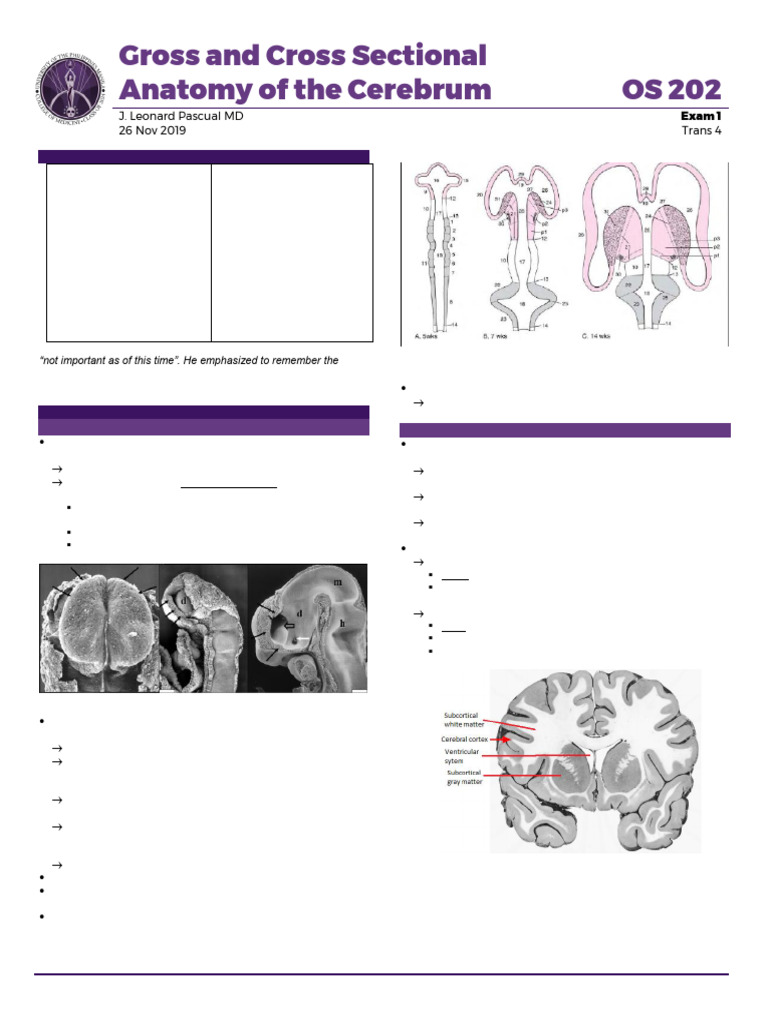 OS 202A E01 T04 Gross and Cross Sectional Anatomy of The Cerebrum | PDF ...