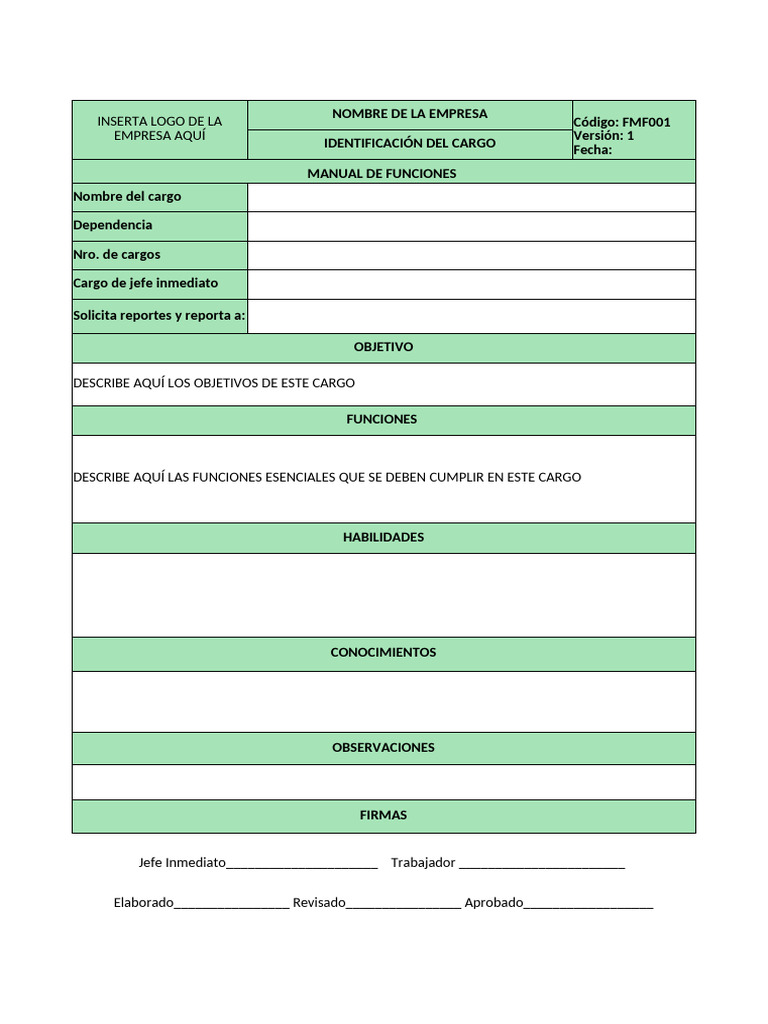 Formato de Manual de Funciones Gratis | PDF
