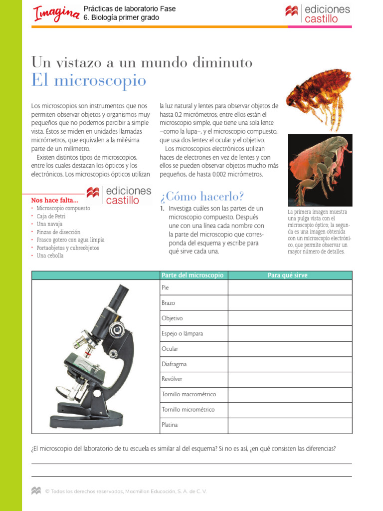 ISB 1 Practica U1 Microscopio | PDF | Microscopio | Óptica