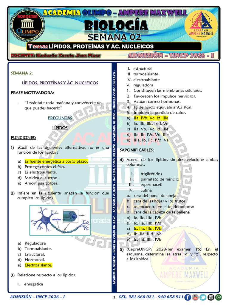 Semana 2 - Biología Práctica MMMMMMMMMMM | PDF | Rna | Proteínas