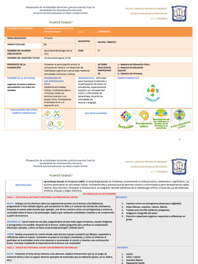 Planeaciones Didactica | PDF | Evaluación | Escuelas