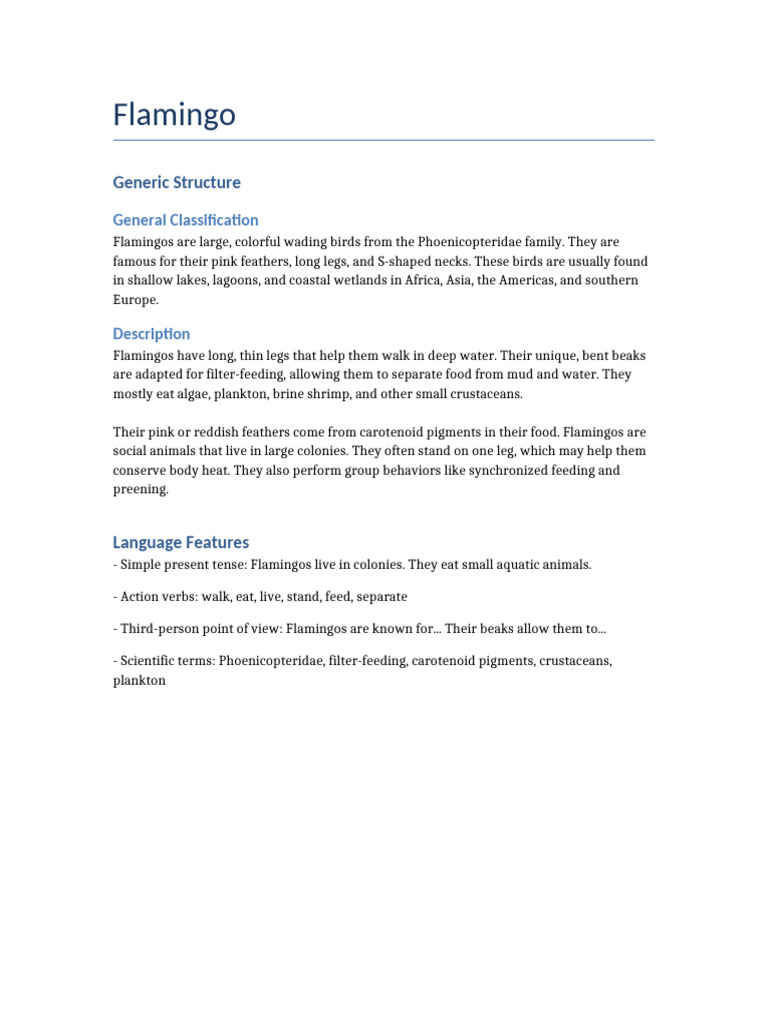 Flamingo Report Text | PDF
