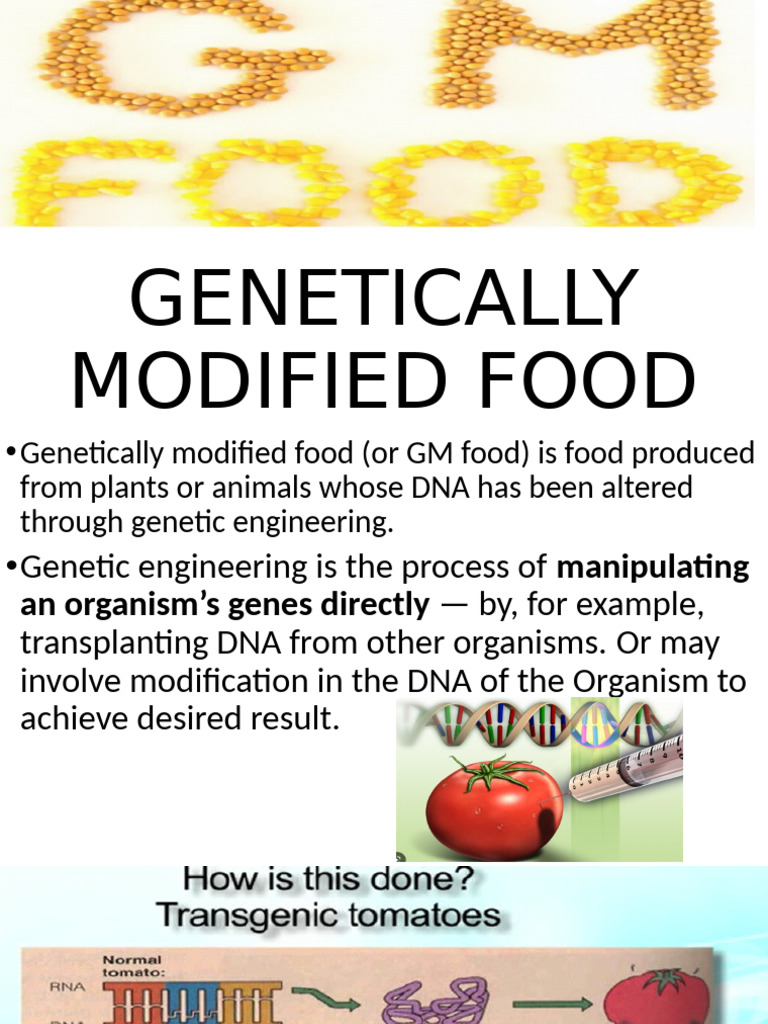 Examples of Genetically Modified Foods | PDF | Genetically Modified ...