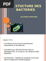 01 Structure Bacterienne | PDF | Bactérie | Cellule (Biologie)