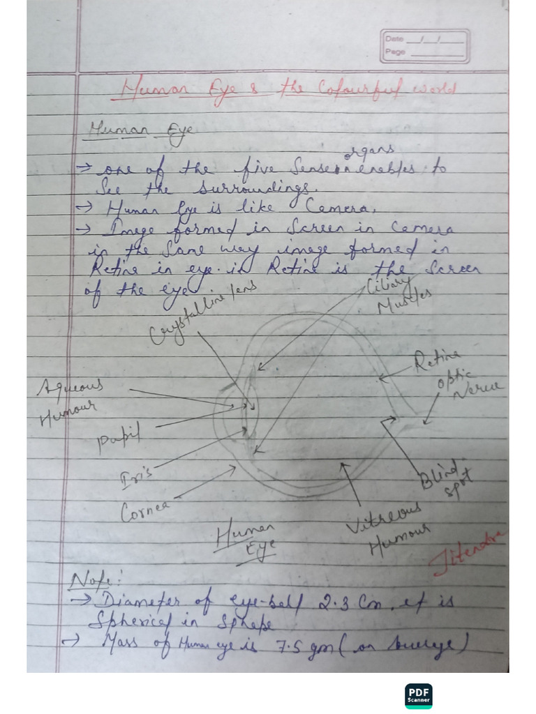 Class 10 (Physics) Human Eye and Colourful World . | PDF